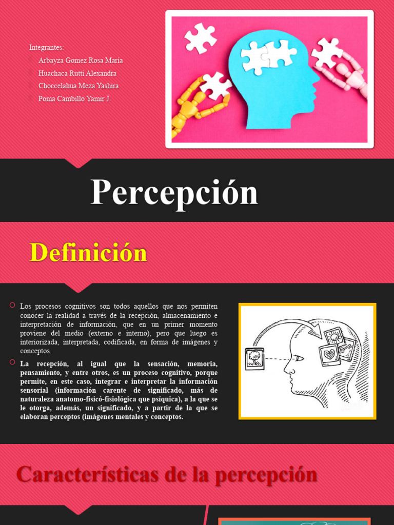 Percepción | PDF | Percepción | Cognición