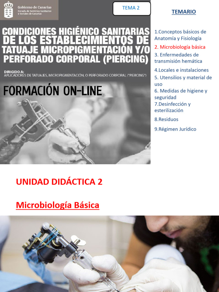 UD2 Microbiología Básica | PDF | Patógeno | Infección