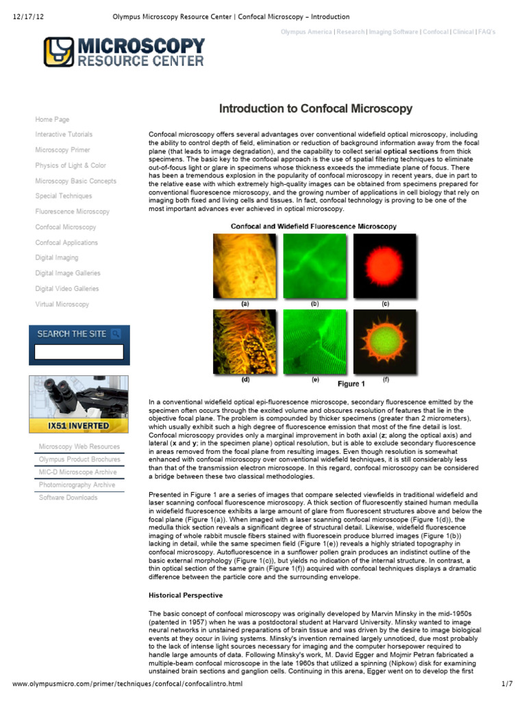 Introduction To Confocal Micros | PDF | Confocal Microscopy | Microscopy
