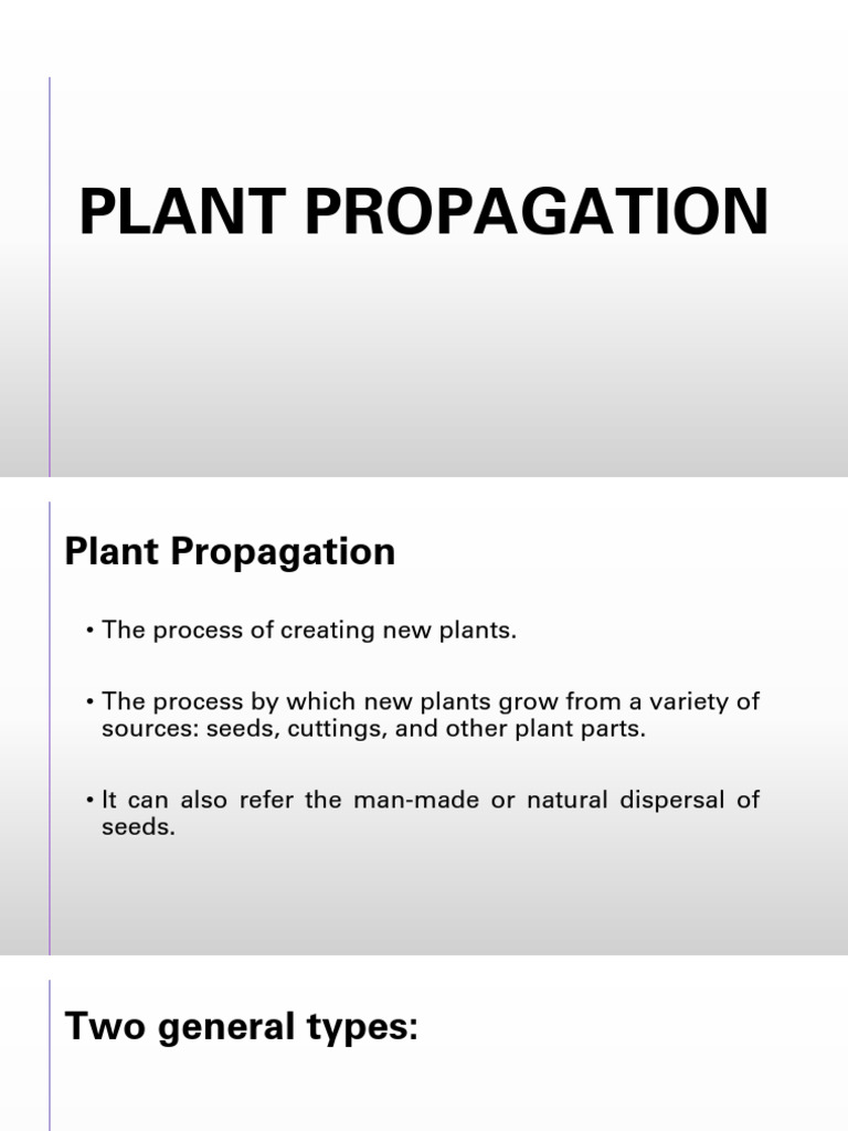 Plant Propagation | PDF | Grafting | Biology
