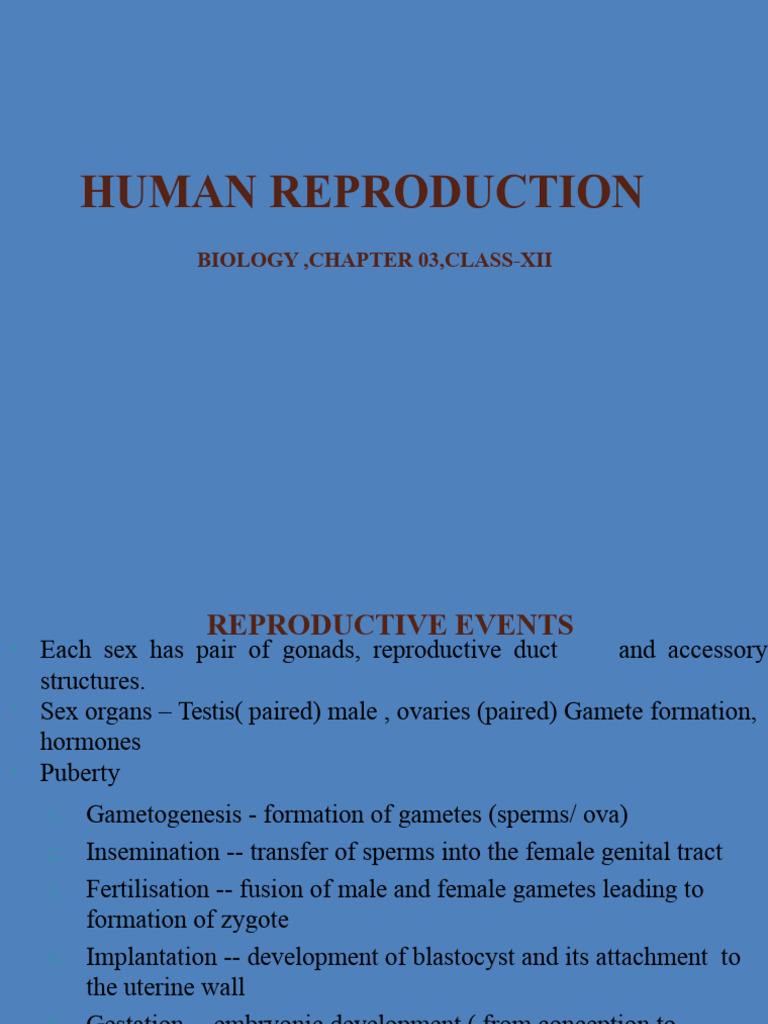 Human Reproduction CH-03, Bio, Class-Xii | PDF | Menstrual Cycle | Ovary