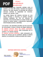 Elaboracion de Pociones Avanzadas-Libatius Borage | PDF | Naturaleza