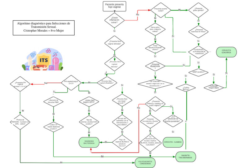 Algoritmo ITS | PDF | Vagina | Mujeres y sexualidad