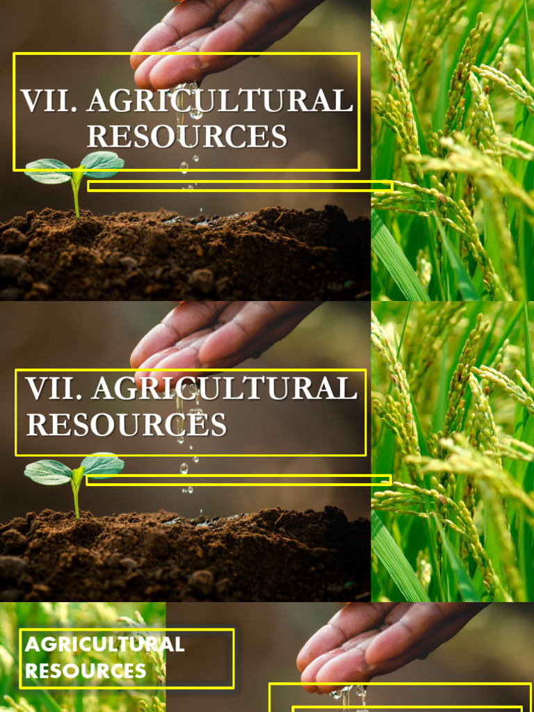 Philippine Agricultural Resources Overview | PDF | Genetically Modified ...