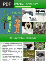 12 Field Guide - Philippine Beach Forest Species | PDF | Plants | Botany