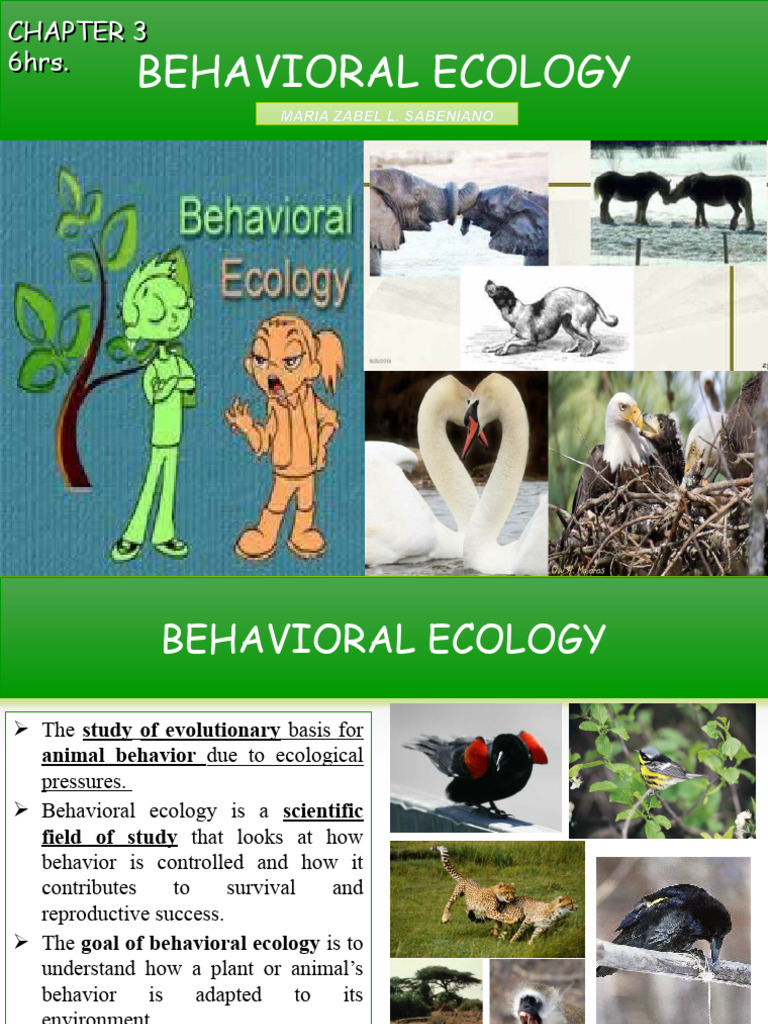 Unit 3 Behavioral Ecology | PDF | Ethology | Foraging