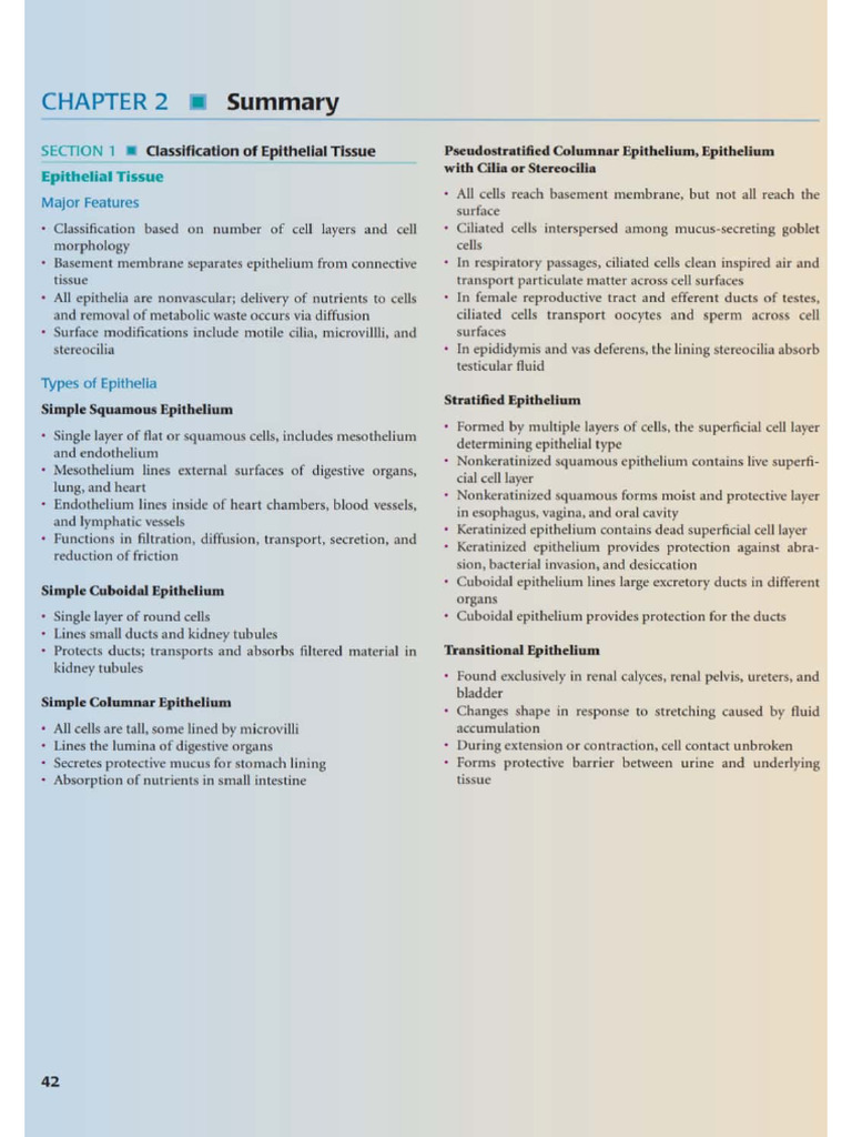 (Summary) 1st Year (Histology) DiFore Atlas | PDF
