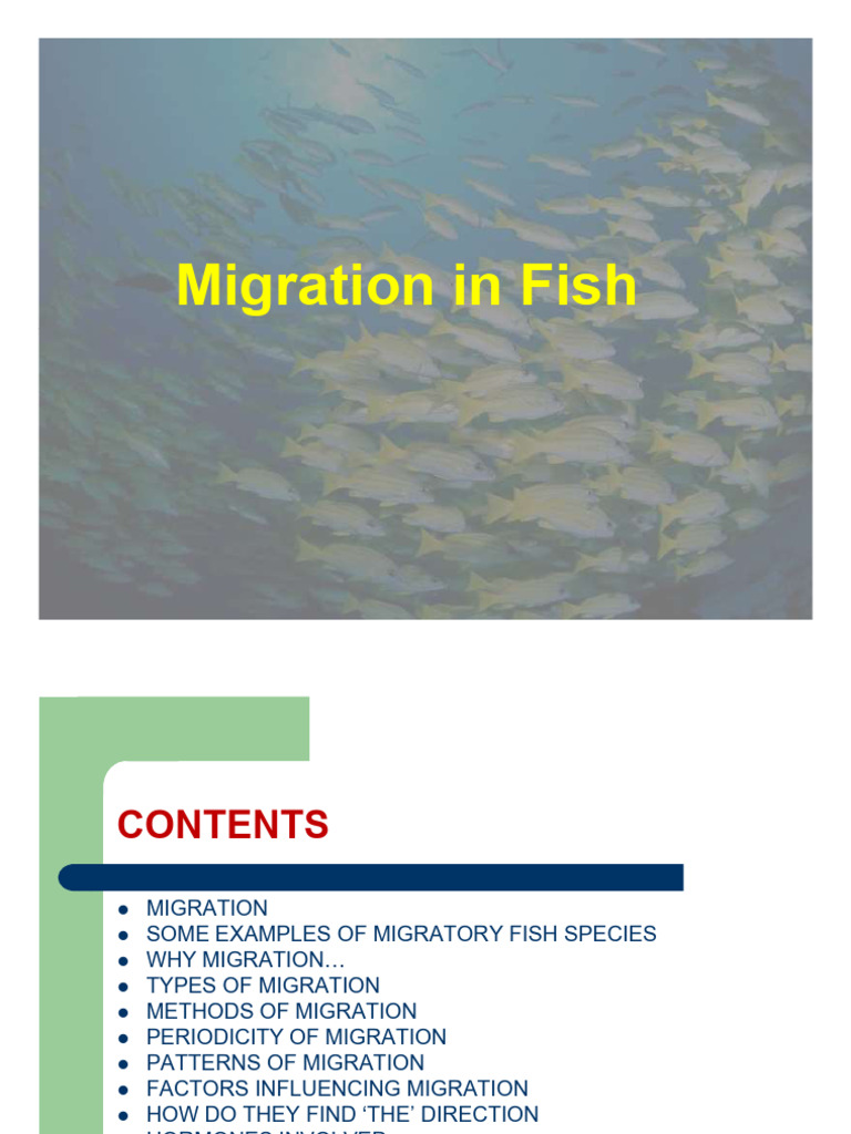 Fish_Migration | PDF | Fish