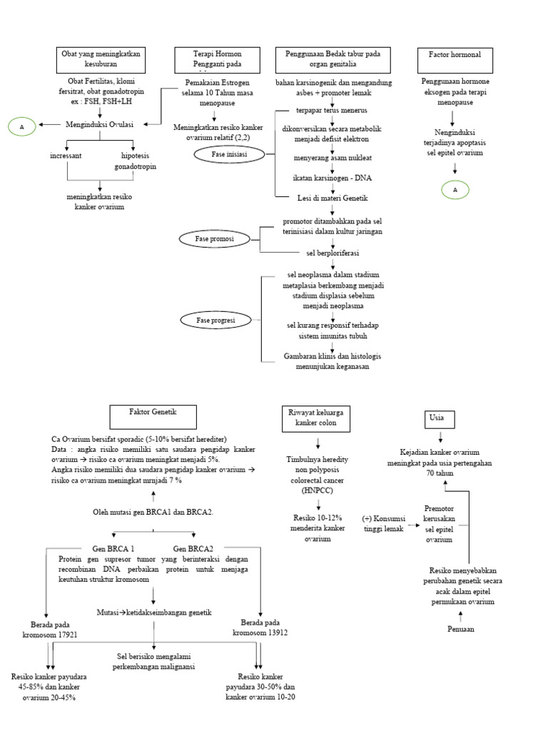 Pathway Ca Ovarium | PDF
