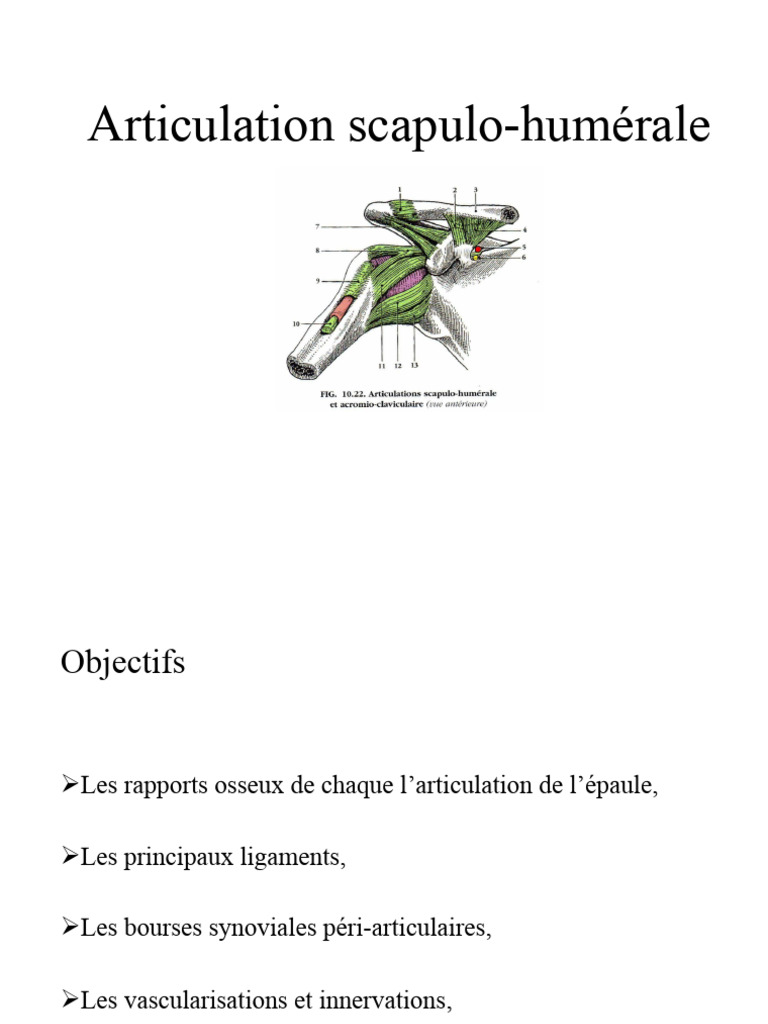 Articulation Scapulo-Humérale | PDF | Système squelettique ...