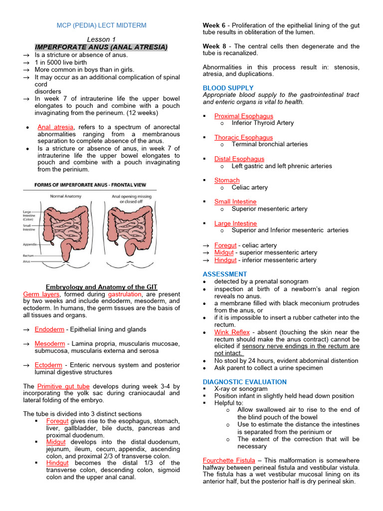 NCM107 Pediatrics | PDF | Large Intestine | Gastrointestinal Tract