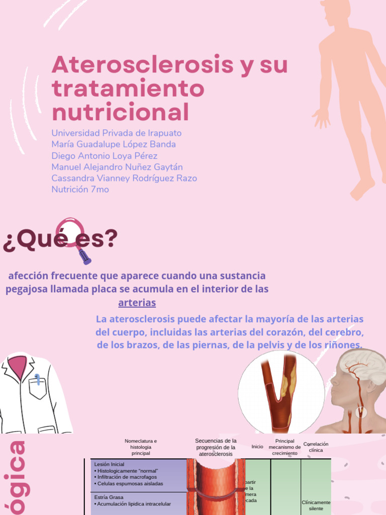 Arterioesclerosis | PDF | Aterosclerosis | Endotelio
