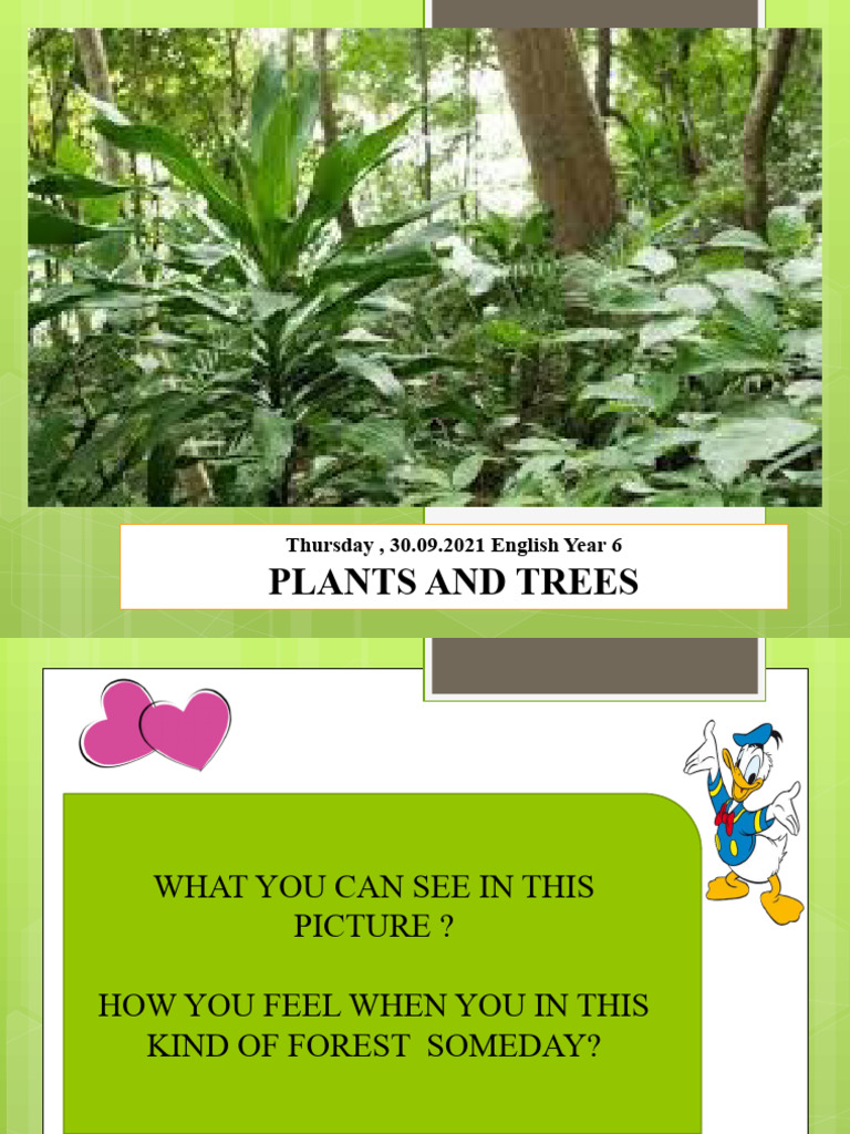 Plants | PDF