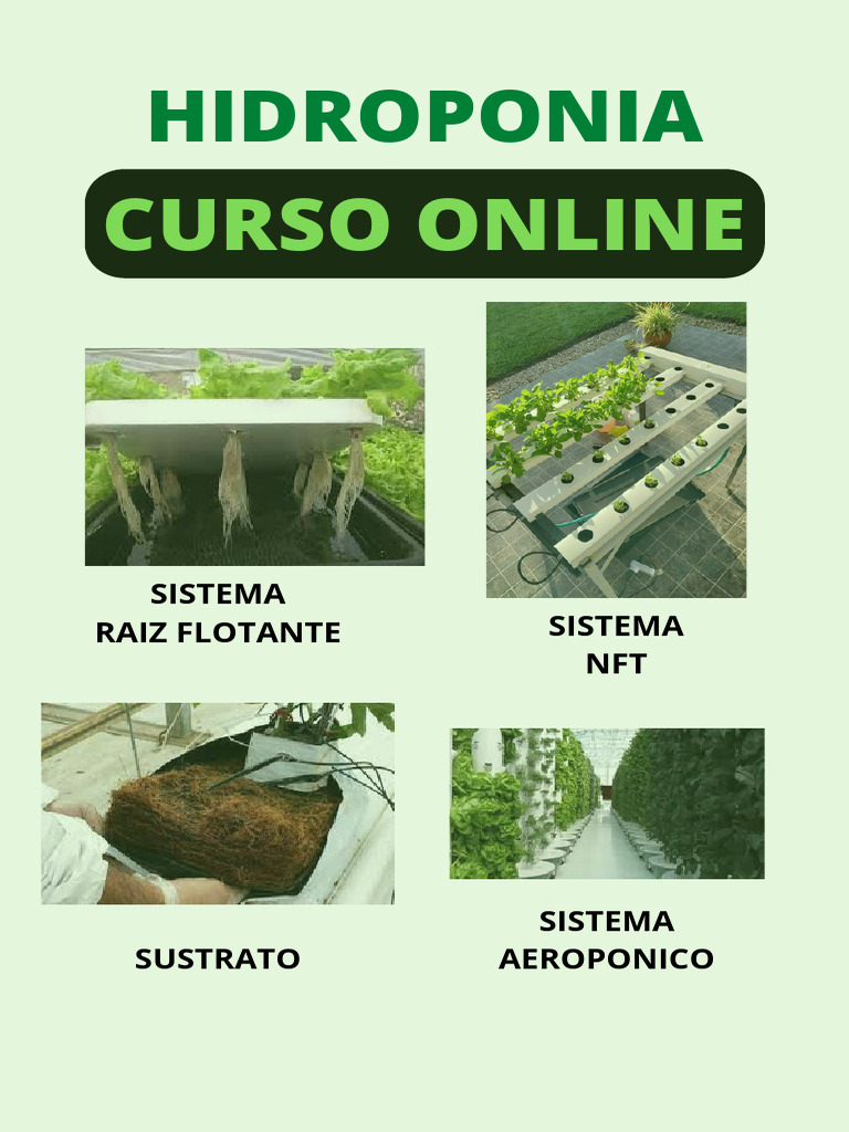 Curso de Hidroponia Información | PDF | Hidroponia