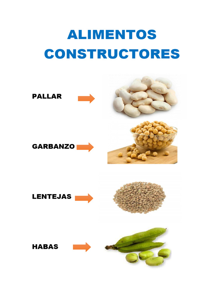 Alimentos Constructores | PDF