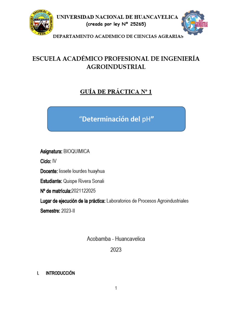 Informe de Practica Quispe - Rivera Sonali | PDF | Ph | Concentración