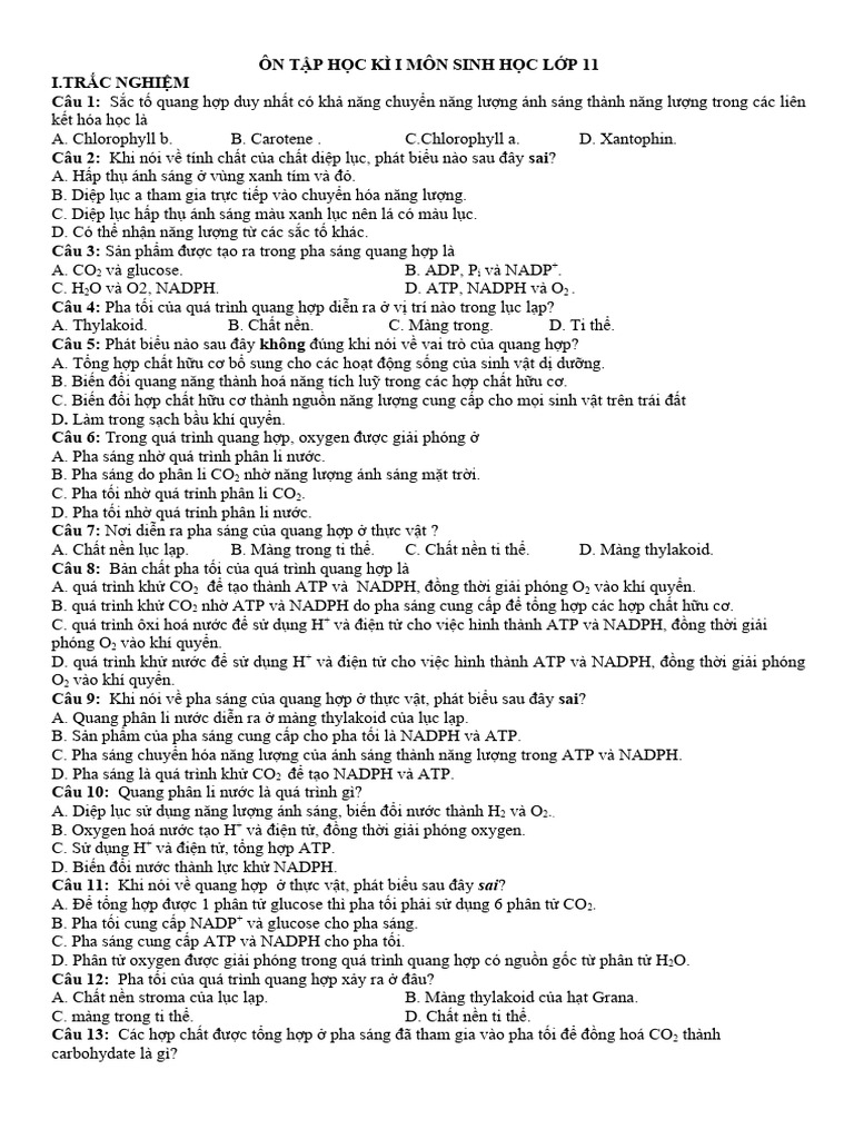 Hs - de Cuong Hki Sinh 11 (2324) | PDF