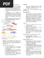 Anatomy and Physiology-Lecture Notes | PDF | Bone | Anatomical Terms Of ...