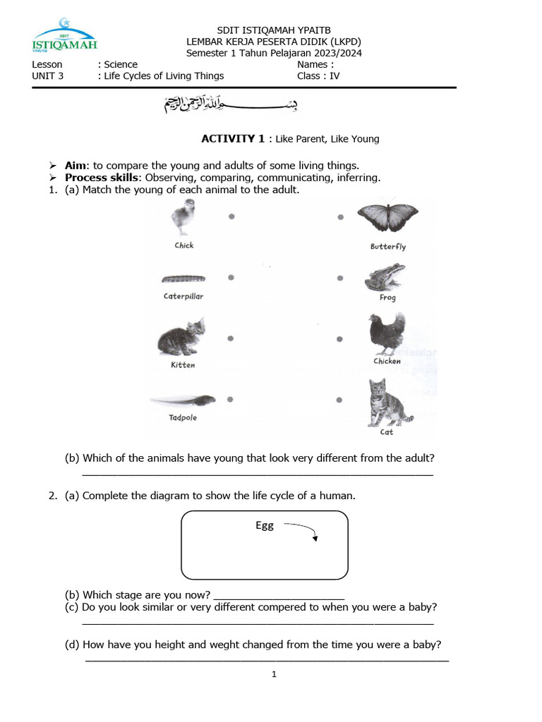 LKPD Unit 3. Life Cycles Activity | PDF | Seed | Seedling