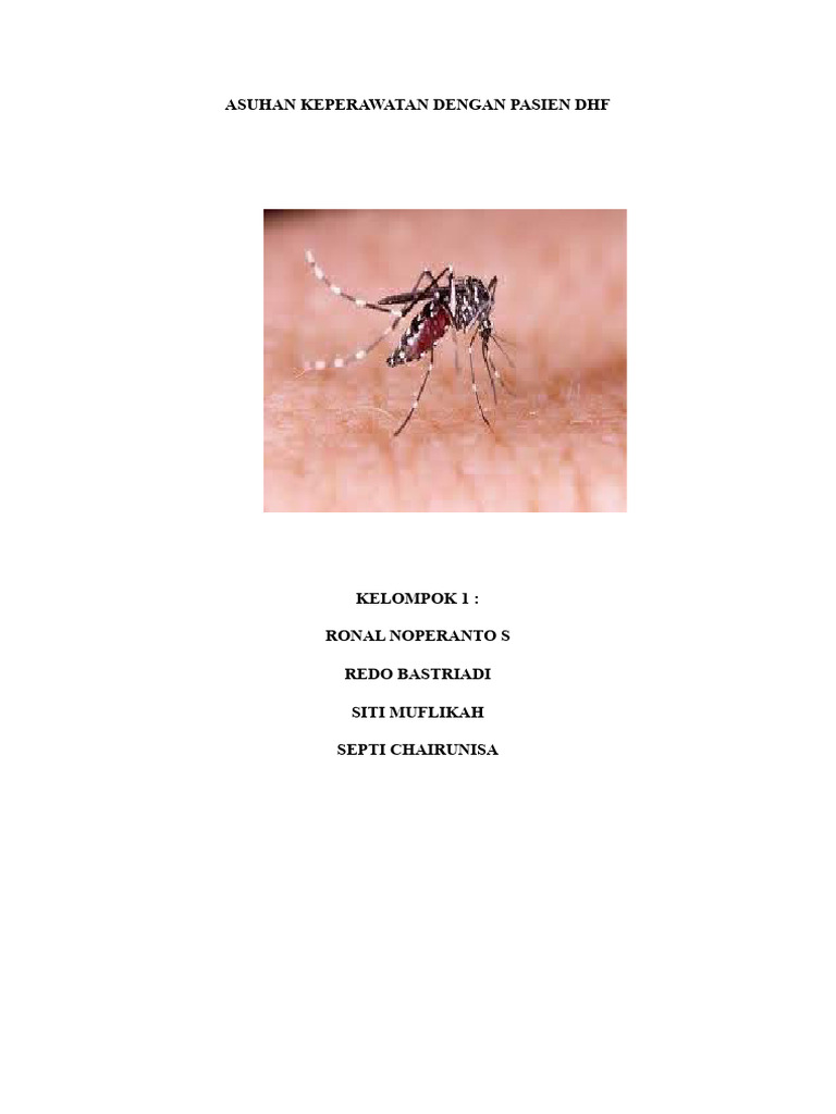 Askep DHF - Kel 1 - Hematologi | PDF