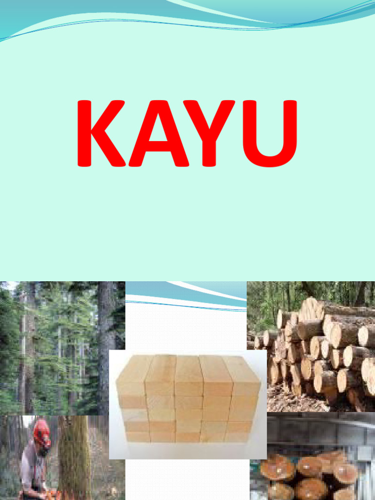 5 Kayu | PDF