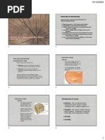 Introduction to Carpentry Basics | PDF | Wood | Lumber