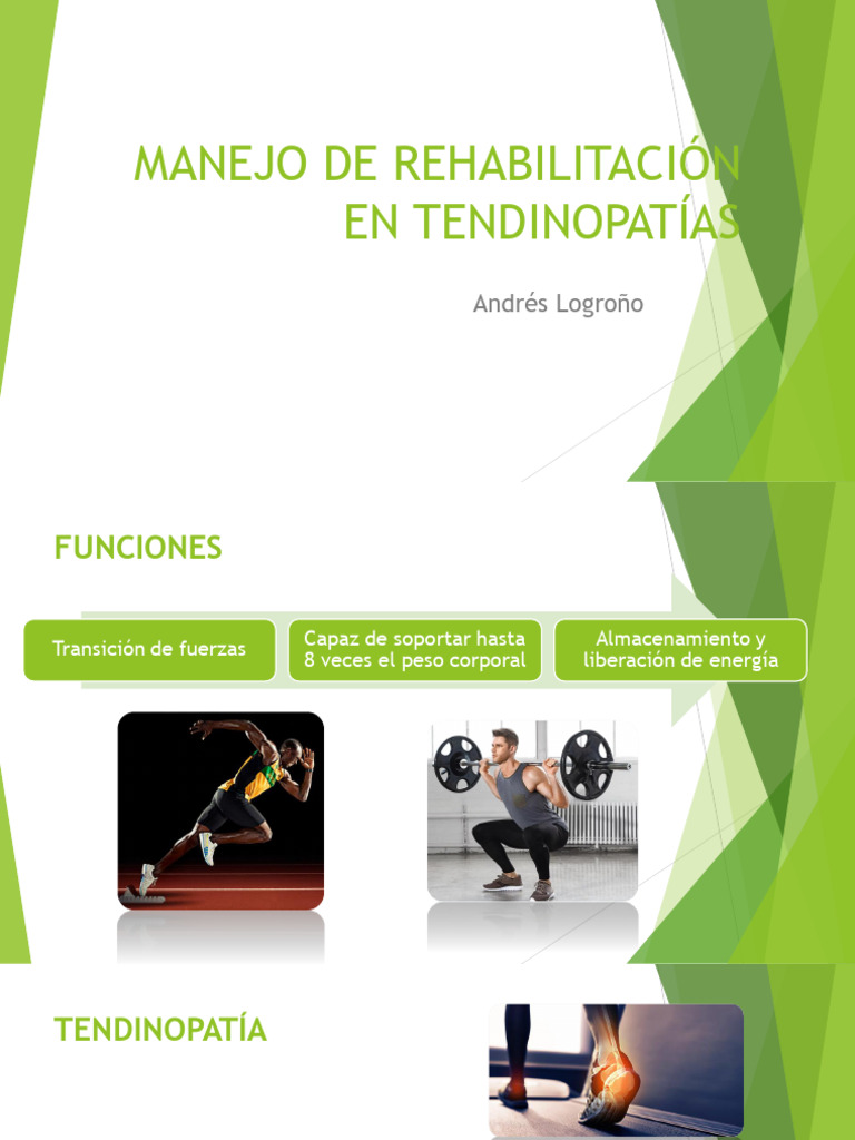 Tendinopatias Udla | PDF | Inflamación | Tendón