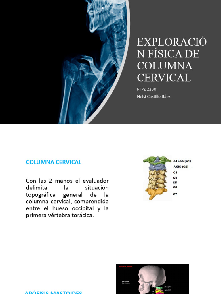 Exploración Columna Cervical FTPZ 2230 - 2023 | PDF | La columna ...
