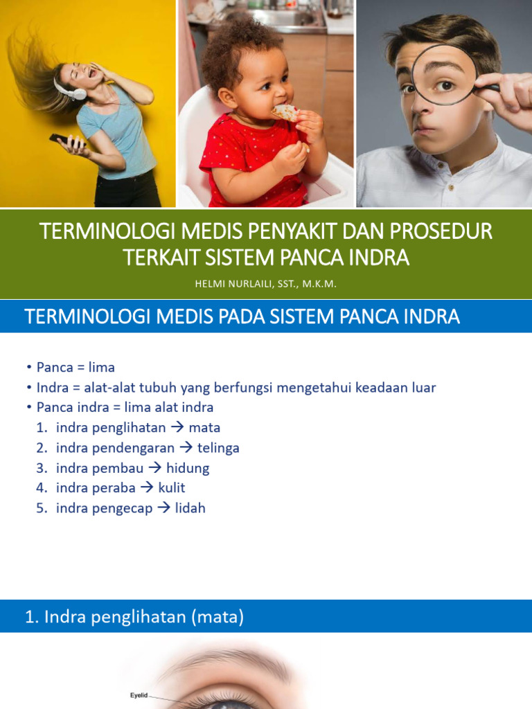 1 Panca Indra | PDF