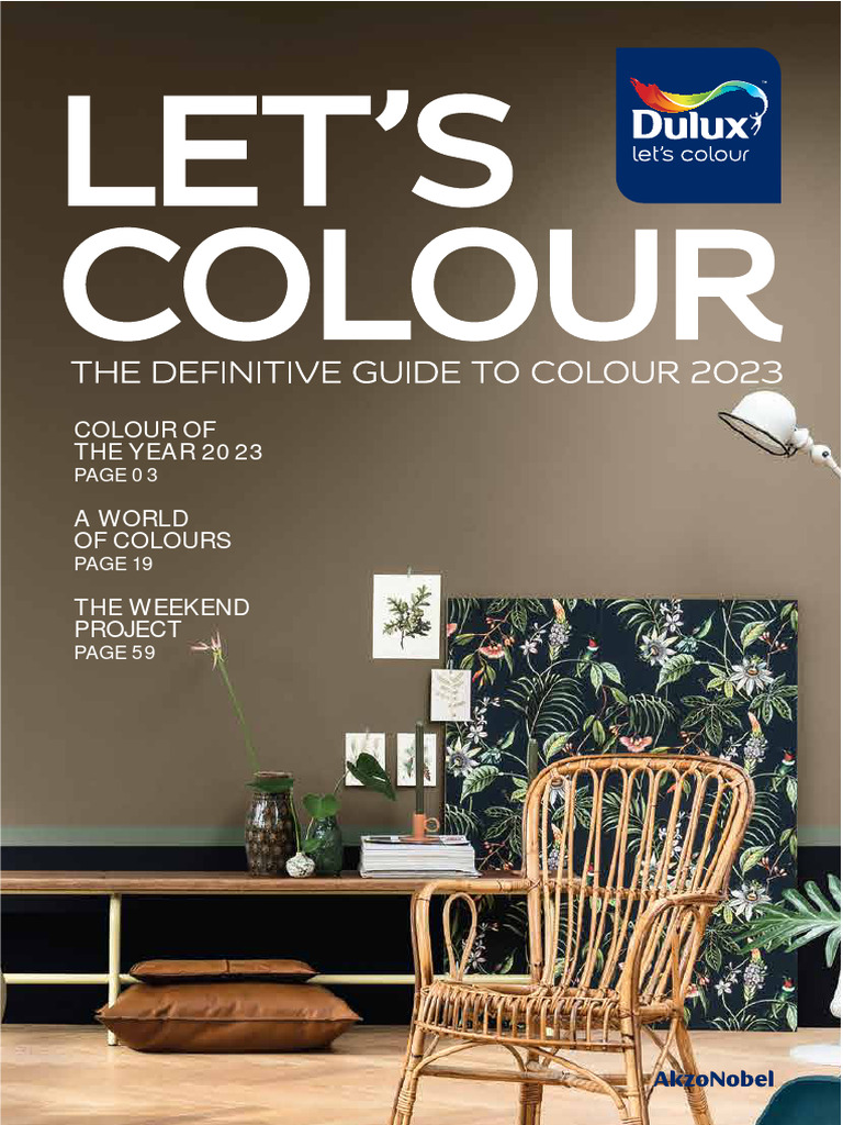 Dulux Paint | PDF