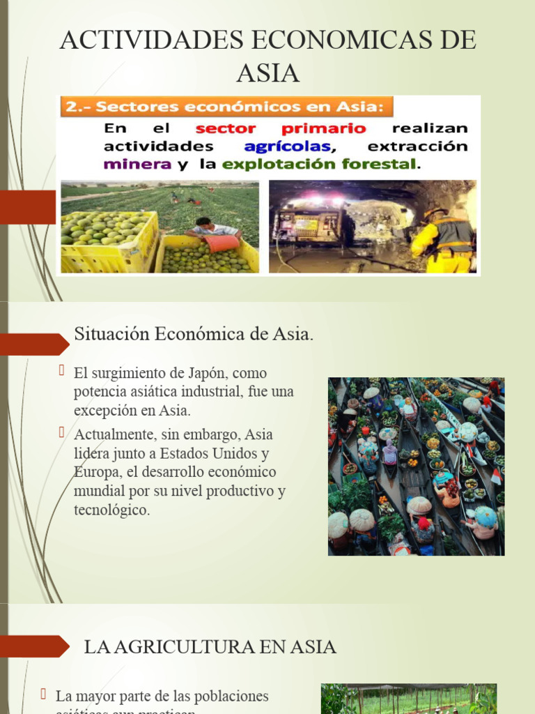 Actividades Economicas de Asia | PDF | Asia | Agricultura