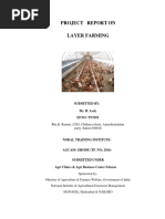 Broiler Production Plan for Zimbabwe | PDF | Partnership | Poultry Farming