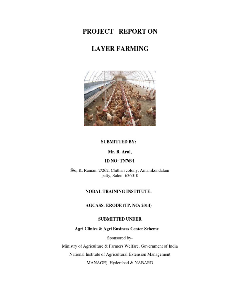Layer Farming Project Report for 2000 Birds | PDF | Agriculture ...