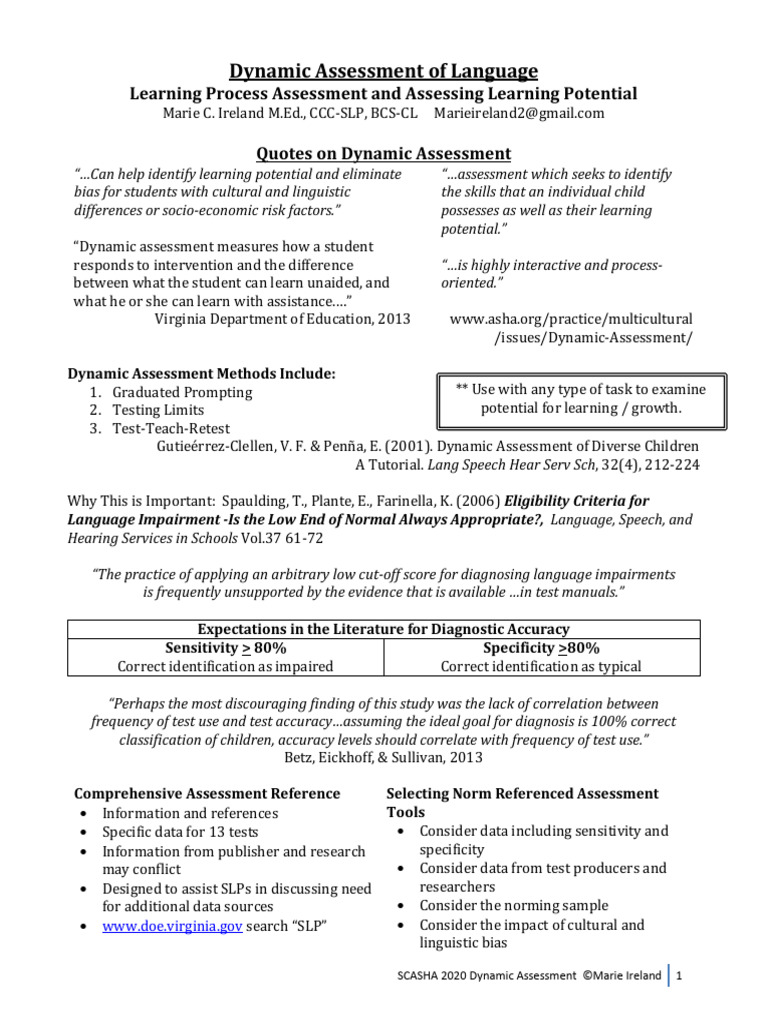 B-2020 SC Dynamic Assessment Handout | PDF | Learning | Vocabulary