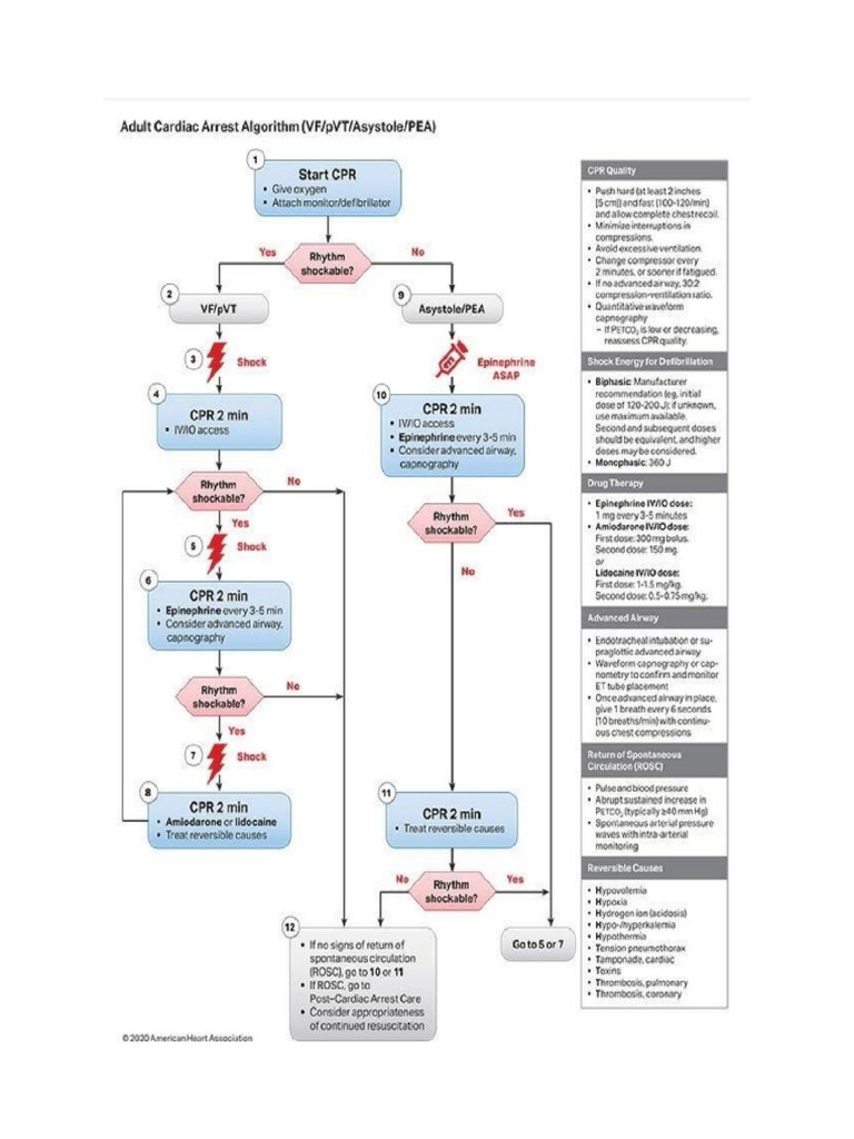 Alogaritma Aha 2020 | PDF