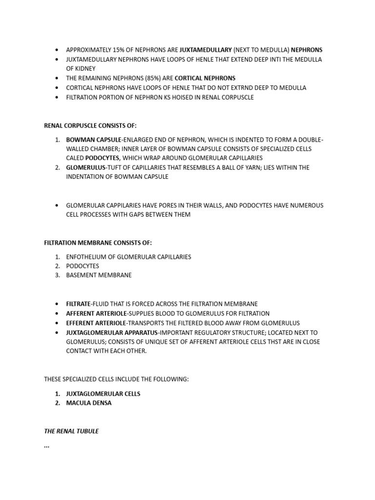 Nephron Structure and Female Reproductive Physiology | PDF | Menstrual ...
