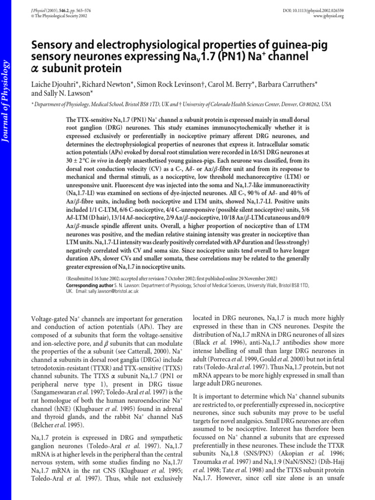 2003 Sensory and electrophysiological properties of guinea‐pig sensory ...