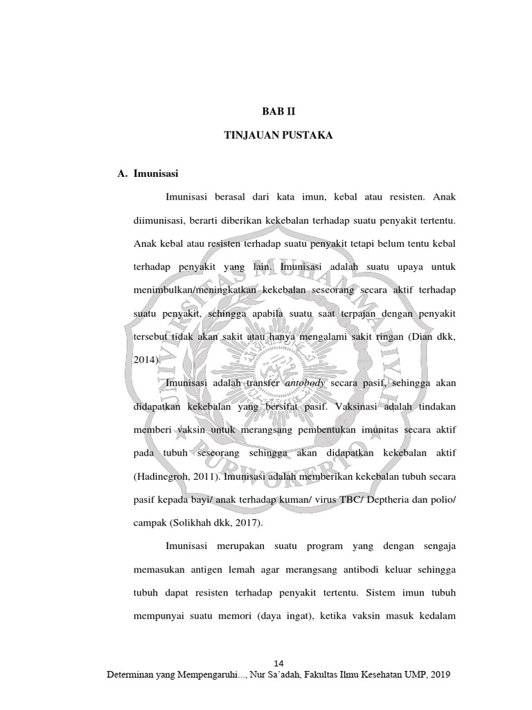 Nur Sa'adah BAB II | PDF