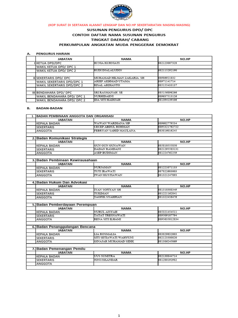 CONTOH STRUKTUR DPD dan DPC PAMPD | PDF