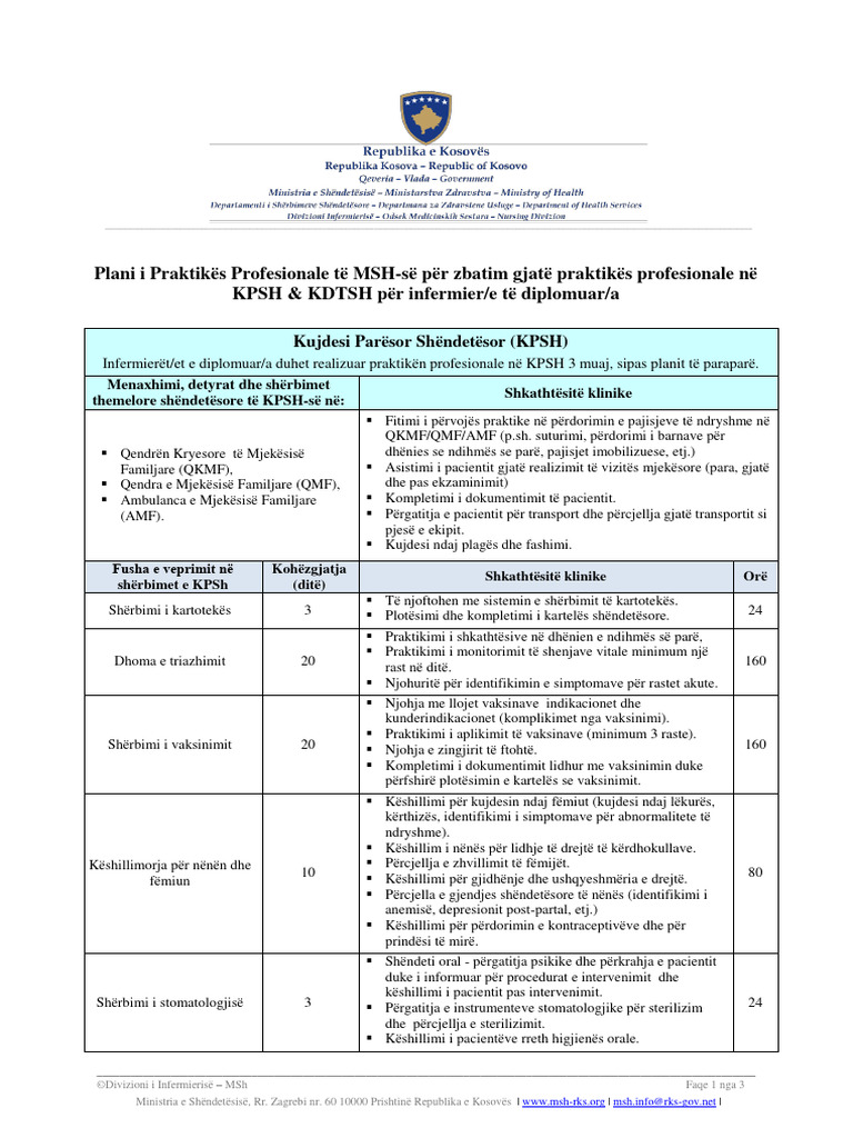 Plani I Praktikes Profesionale - INFERMIERI | PDF
