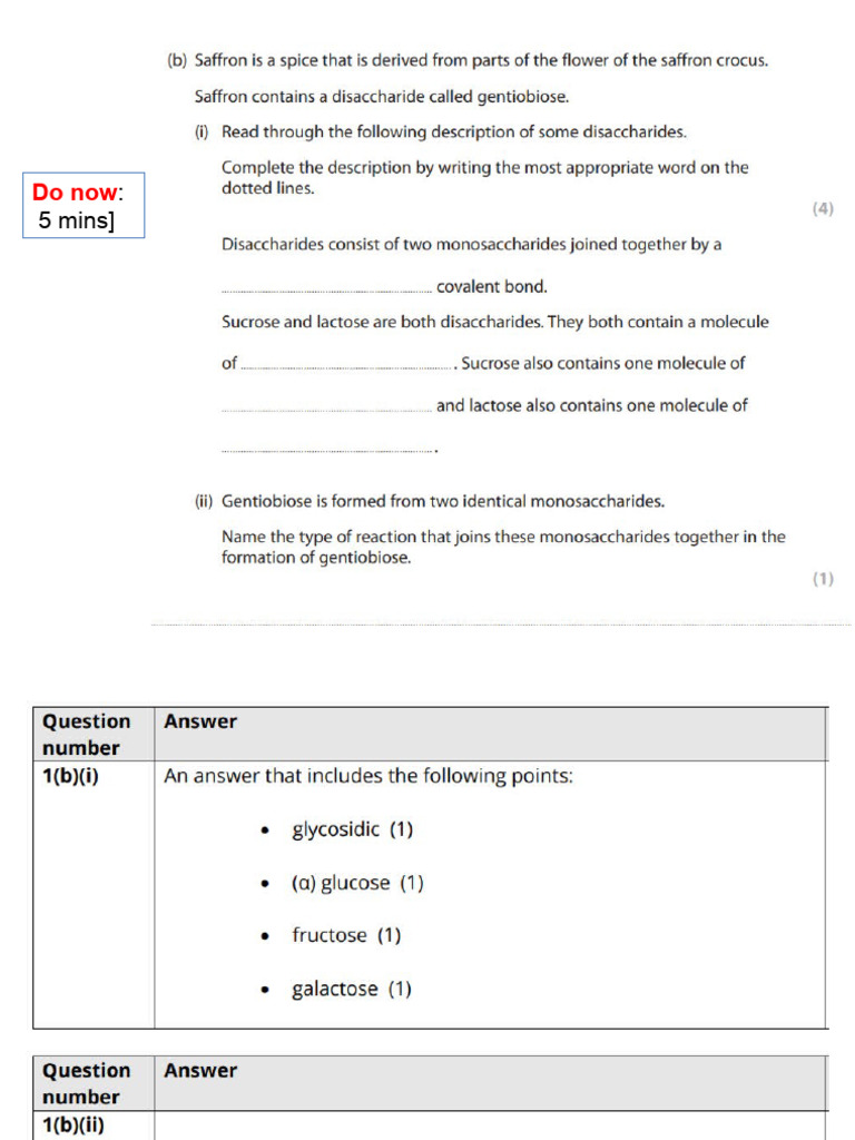 Lesson 4 - Polysaccharides | PDF | Polysaccharide | Starch