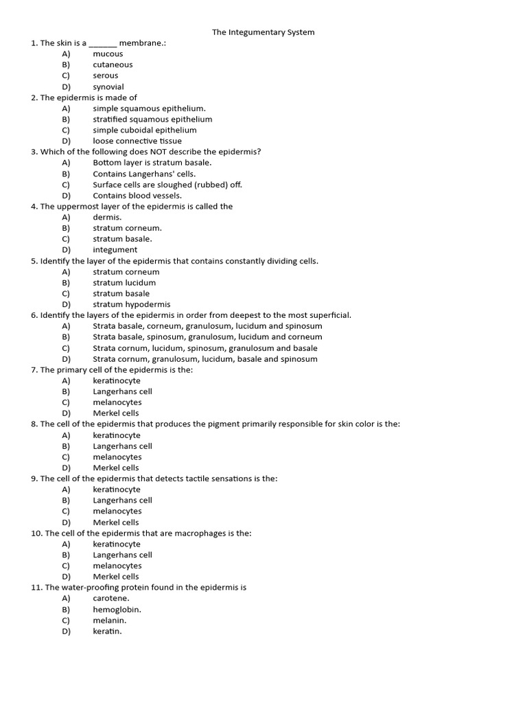 The Integumentary System Pdf Integumentary System Epidermis