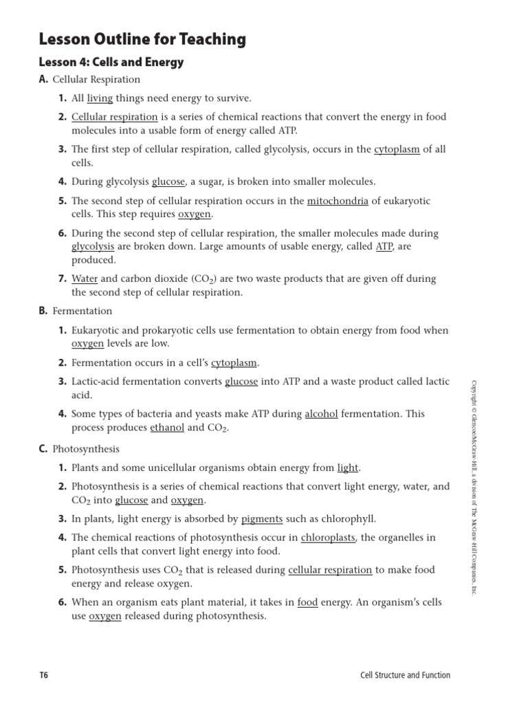 2-4 Outline Cells and Energy Answers | PDF | Cellular Respiration ...