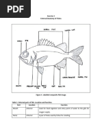 Fish Nares: Smell Mechanism Explained | PDF | Olfaction | Fish