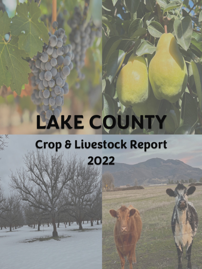 2022 Crop Report | PDF | Vegetables | Agriculture