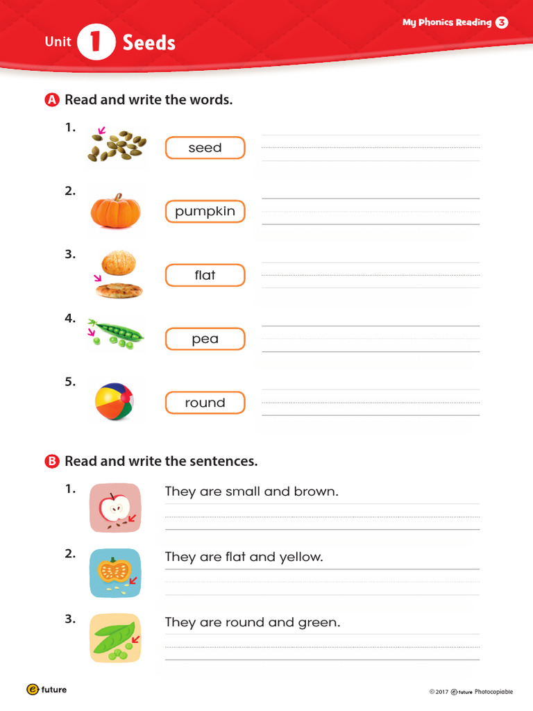 My Phonics Reading 3 - Writing Worksheets | PDF | Career & Growth ...