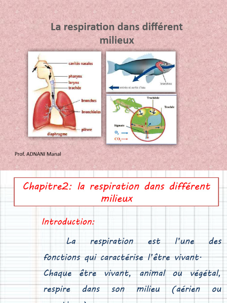 La Respiration Dans Differents Milieux Cours 1 | PDF | Système ...