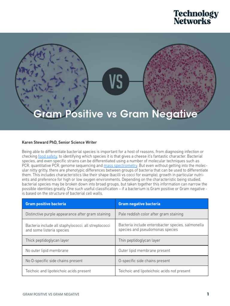 TN - Gram Positive Vs Gram Negative - Article - JL - V2ks | PDF | Gram Positive Bacteria | Gram ...