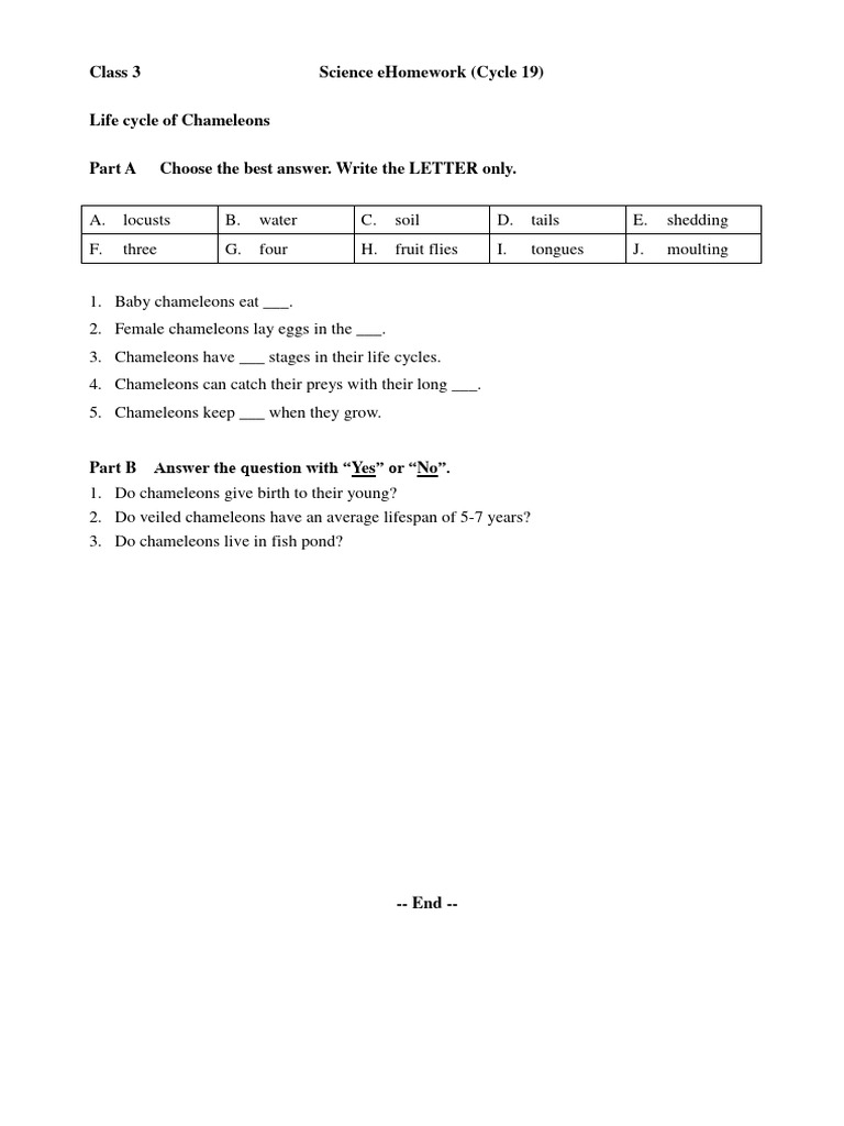 Chameleon Life Cycle eHomework Guide | PDF