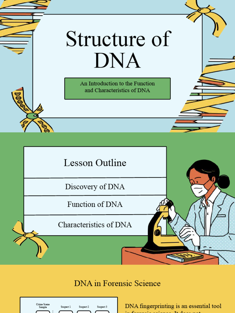 9 Structure of DNA 1 | PDF | Dna | Macromolecules